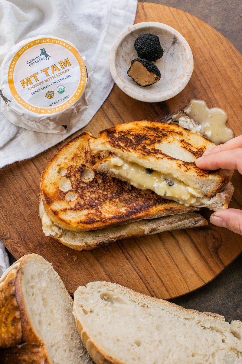 Mt Tam Truffle Grilled Cheese – Cowgirl Creamery